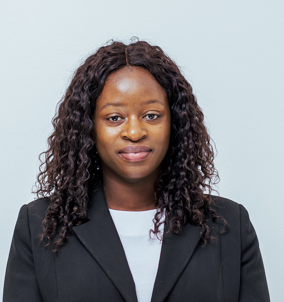 Transfer pricing – WTS Taxmatrix